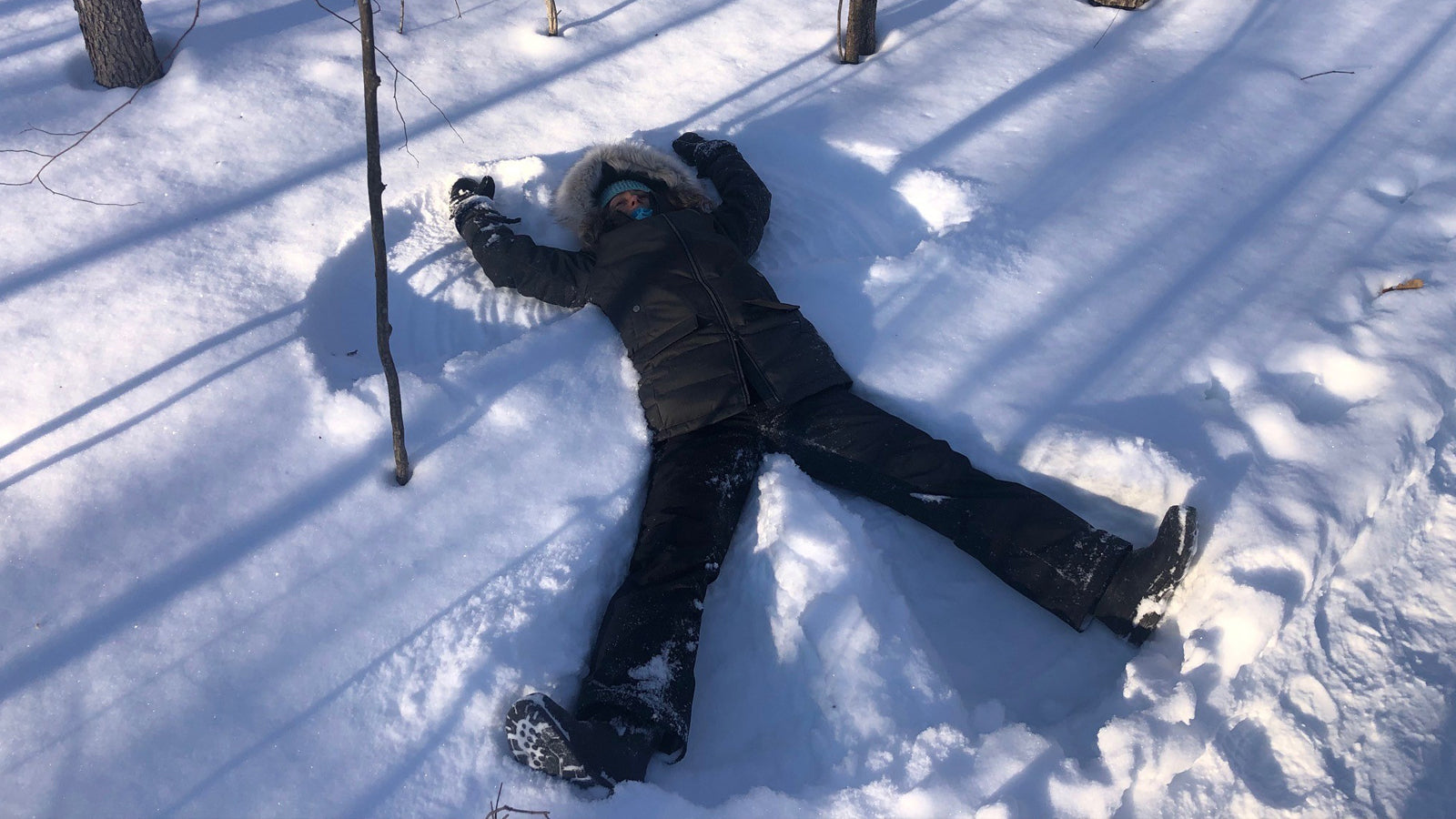 Making Friends with the Cold: Top 10 Reasons to go on a Forest Therapy