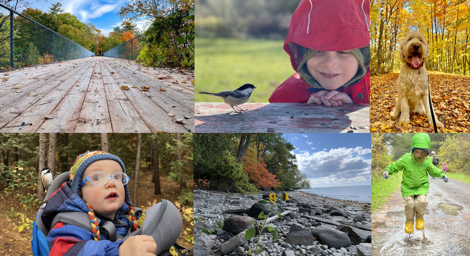 2023 Cataraqui Conservation Hike Challenge