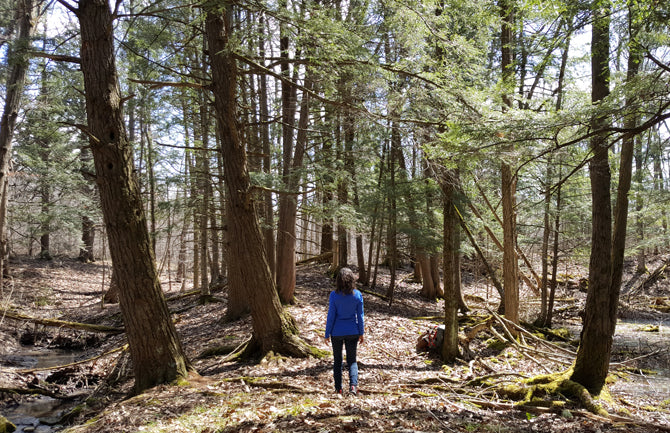 Cataraqui Conservation Educator Explores Topic of Eco-anxiety