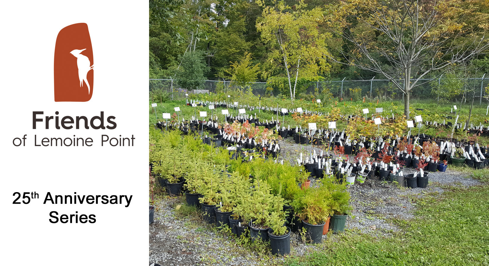 Friends of Lemoine Point 25th Anniversary - The Plant Nursery