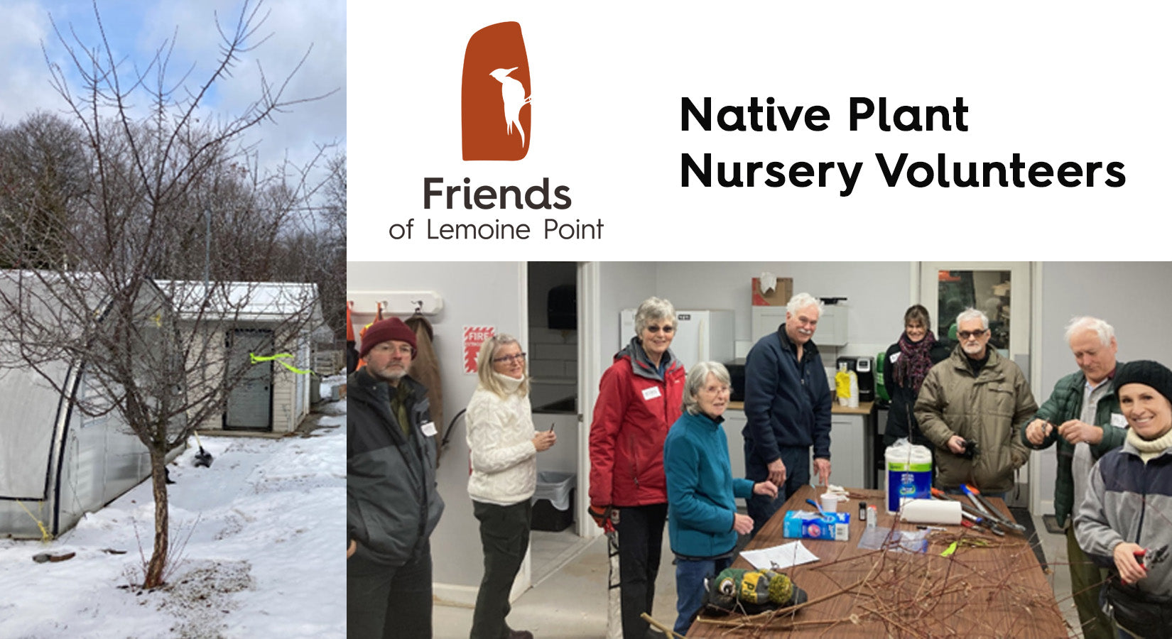 Hardwood Cutting Harvesting at Lemoine Point