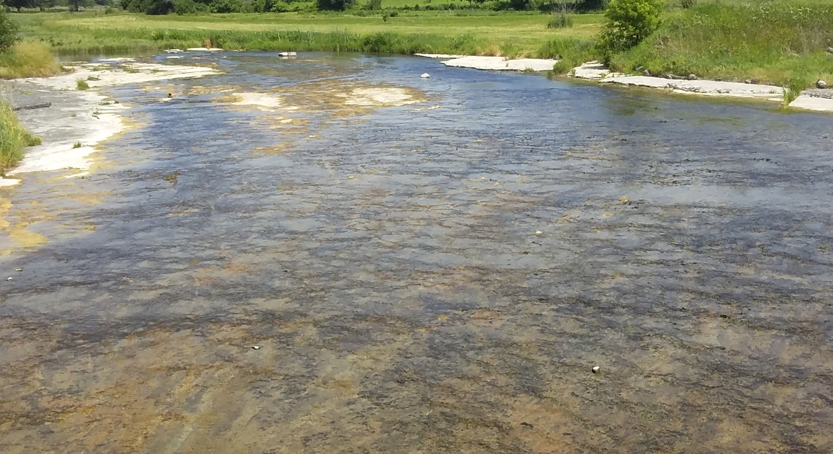 Dry Conditions Across Cataraqui Region Watershed