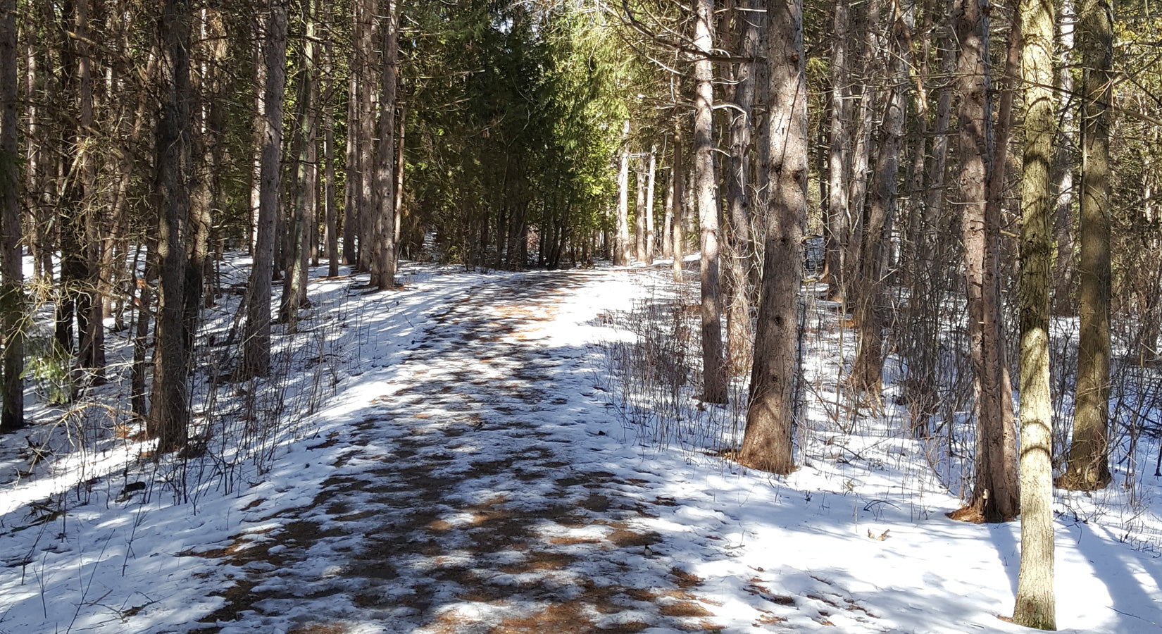 Trail Condition Update - Icy Trails