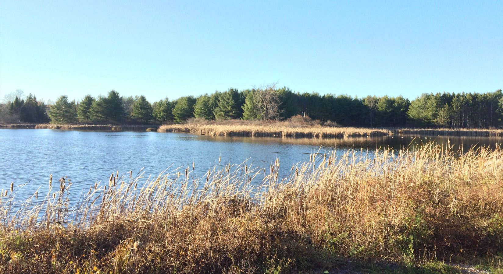 Cataraqui Conservation Recognizes Significant Donation from Scrannage